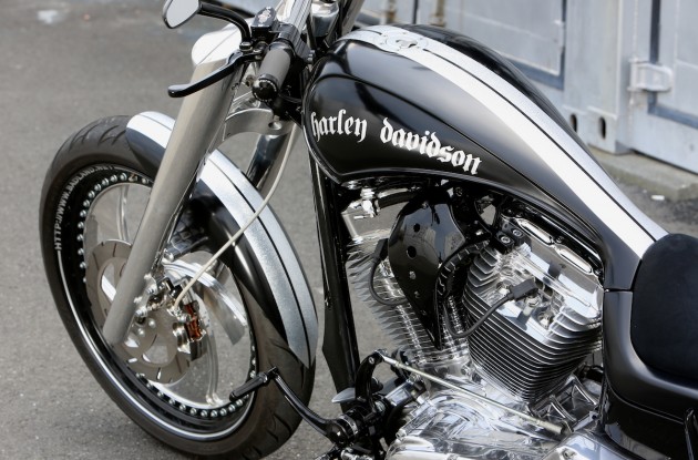 Softail 300 Fat Tire Kits - scurfawkf
